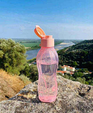 Эко-бутылка tupperware 500 мл | Сравнить цены и купить по акции со ...