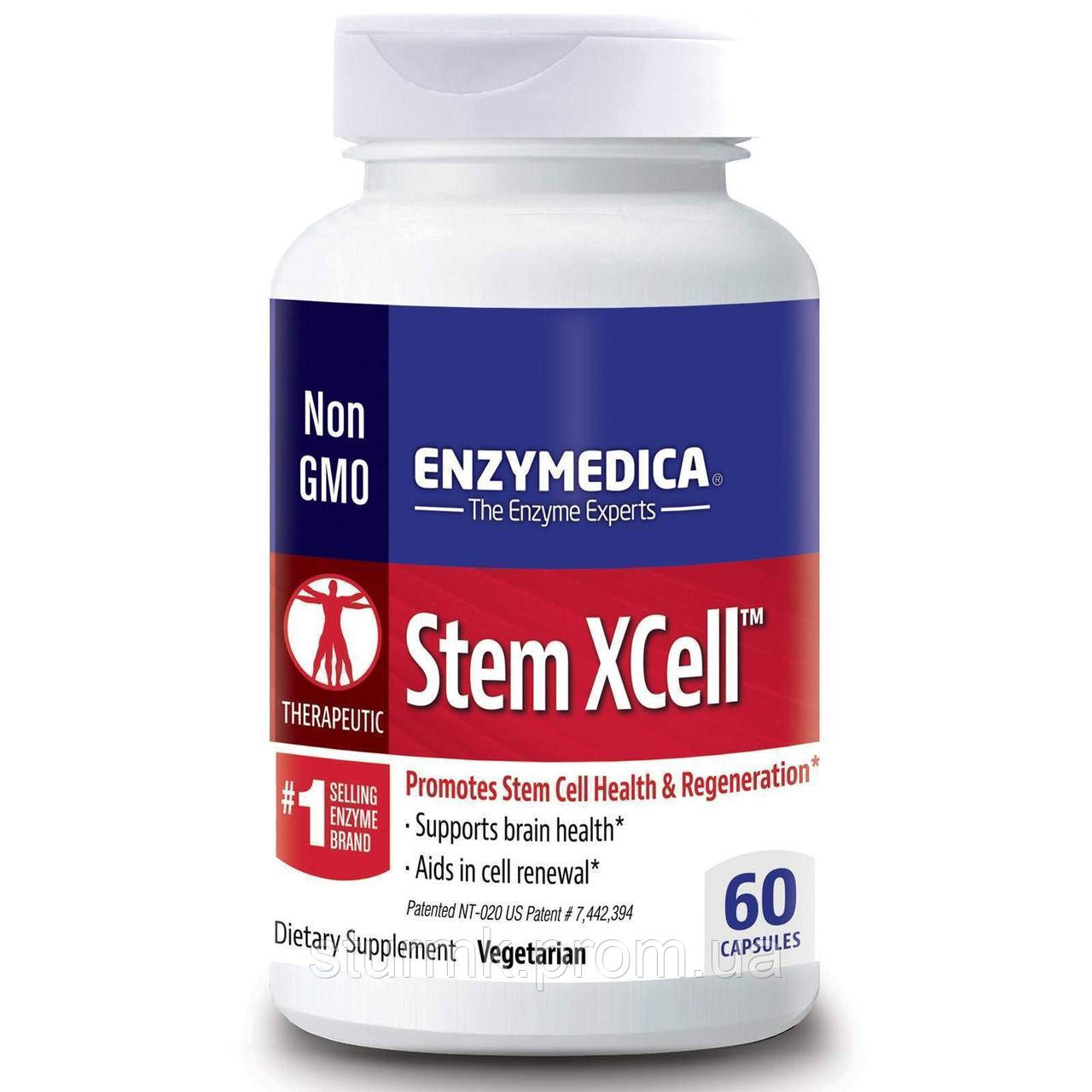 Купить Ферменты для мозга Stem XCell Enzymedica 60 капсул, цена 1540 ...
