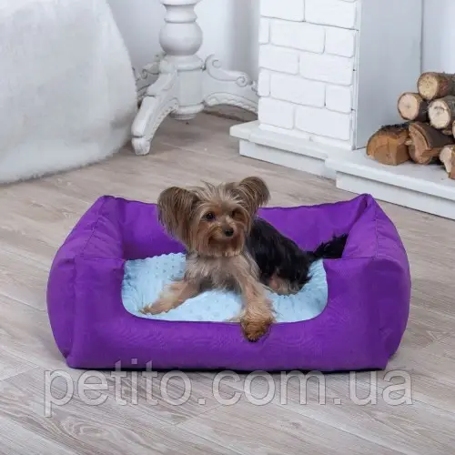 Лежанка для кота и собаки Комфорт фиолетовая с голубым S 60 X 45 Xl