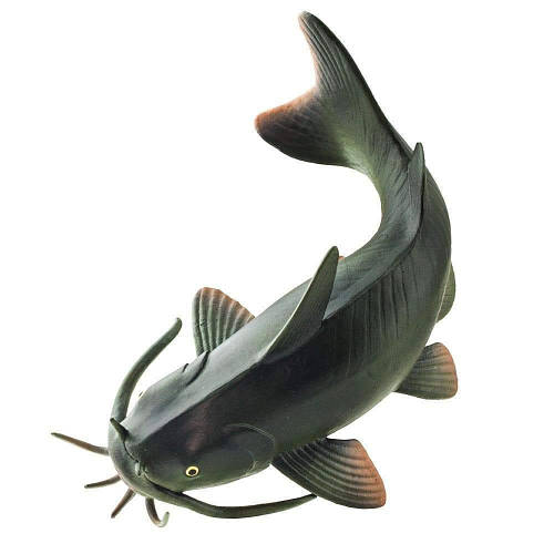 Купить Риба сом Safari Ltd 100362, цена 395 ₴ — Prom.ua (ID#1971897261)