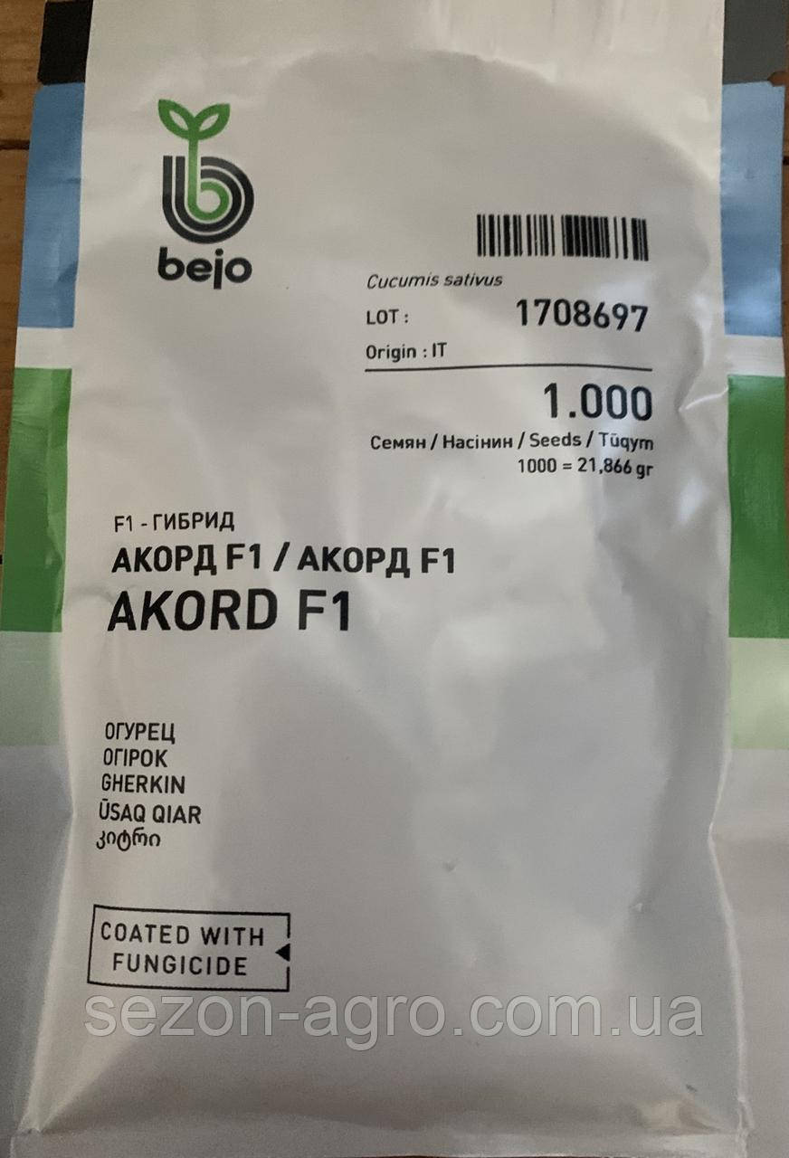 Огірок Акорд F1 1000 н. Bejo Zaden: продаж, ціна у Києві. Насіння, саджанці та розсада від ...