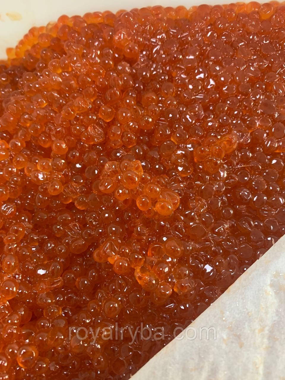 Икра красная (Кета ) (ID#1715612047), цена: 2625 ₴, купить на Prom.ua