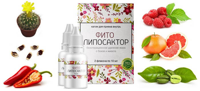 Купить Фито Липосактор - капли для похудения, цена 444 ₴ — Prom.ua (ID ...