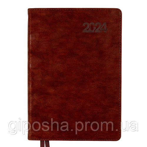 Купить Щоденник Leo Planner А5 датований 2024 Case коричневий (252423 ...