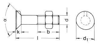 DIN 604 Болт з потайною голівкою і вусом, неповна метрична різьба, ціна - Prom.ua (ID#25636703)