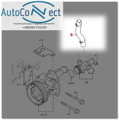 Патрубок помпы воды Transit 2012- (IMPERGOM)2402065/1717636, цена: 340 ...
