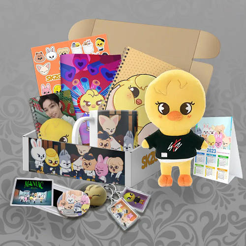 Подарунковий бокс K-pop Stray Kids SKZOO BbokAri 17 предметів (ID ...