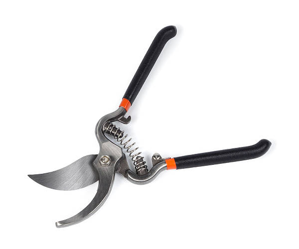 Секатор садовий Polax 230 мм з обвідним лезом (70-002) (ID#2006550429), ціна: 266 ₴, купити на ...