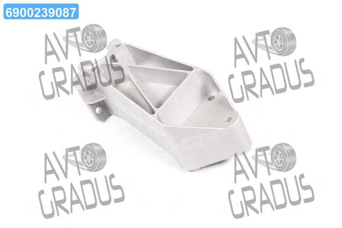 Кронштейн кріплення крила DAF XF95,105 (TEMPEST) TP 97-28-70 (ID ...