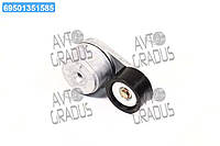 Натяжитель ремня (Cametet) 54232-22 (ID#1747514995), цена: 2817.94 ...