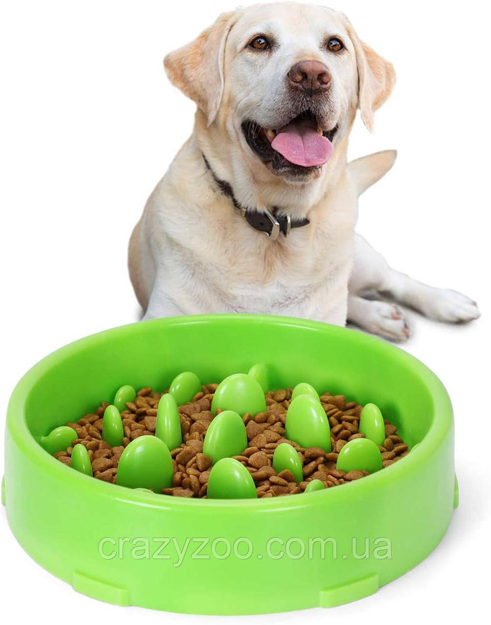 Миска EcoToys для медленного кормления собак салатовая 20х19х5 см (ID ...
