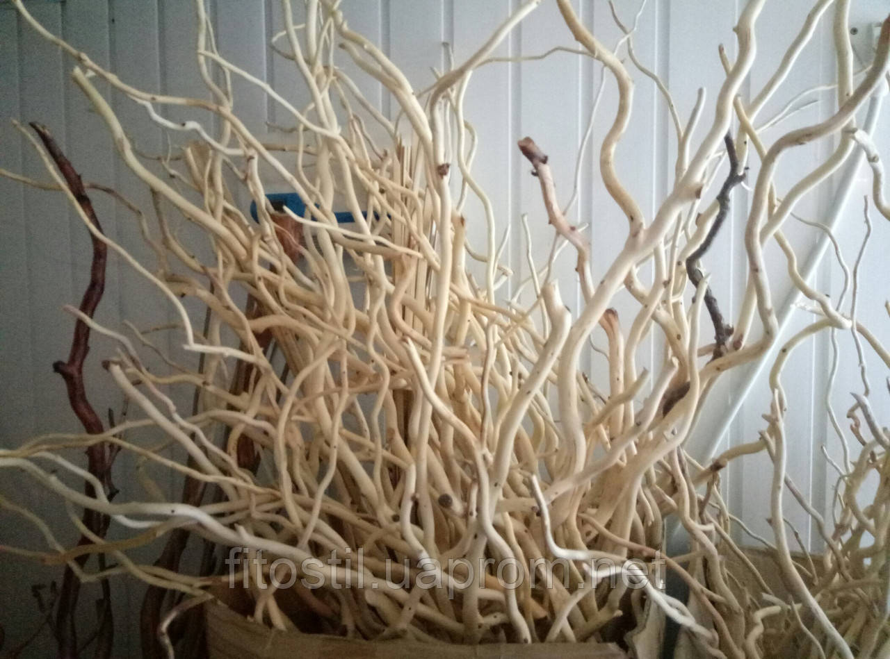 Купити Гілки декоративної верби у вазу для арок ціна 48 грн Prom Ua Id 365797674
