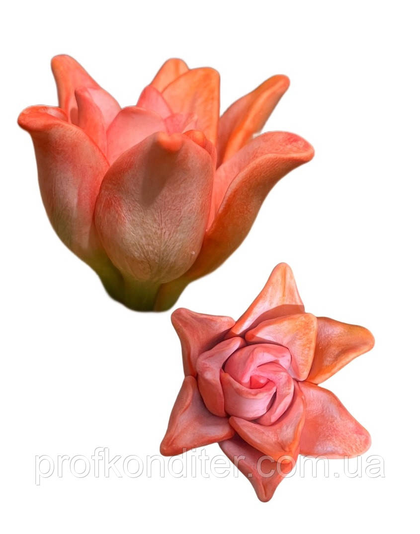 Авторський силіконовий молд Головка тюльпана №14 продаж ціна у Запорізькій області