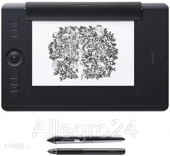 Планшет Wacom Intuos Pro Paper M (PTH660PN) (ID#2067131915), цена ...