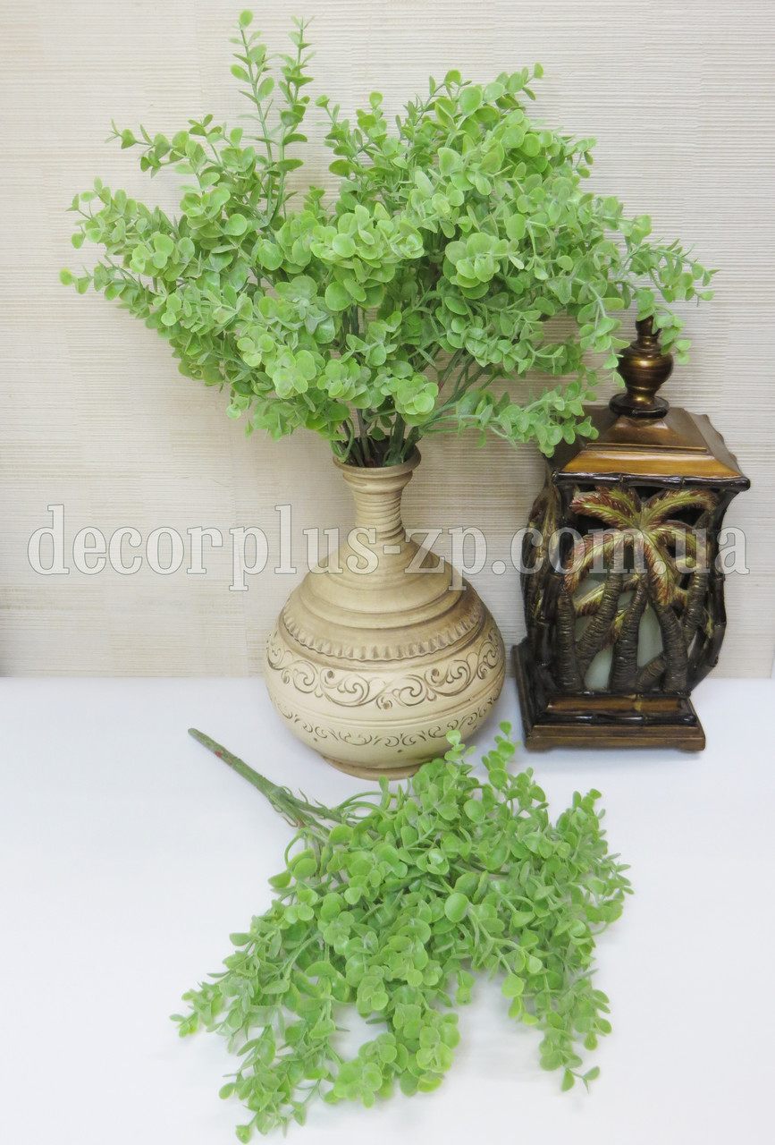 Букет евкаліпта дрібного з напиленням Елегант Світло зелений продаж