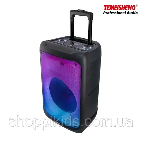 Колонка музыкальная большая напольная Temeisheng 1215-02 - 12 дюймов ...