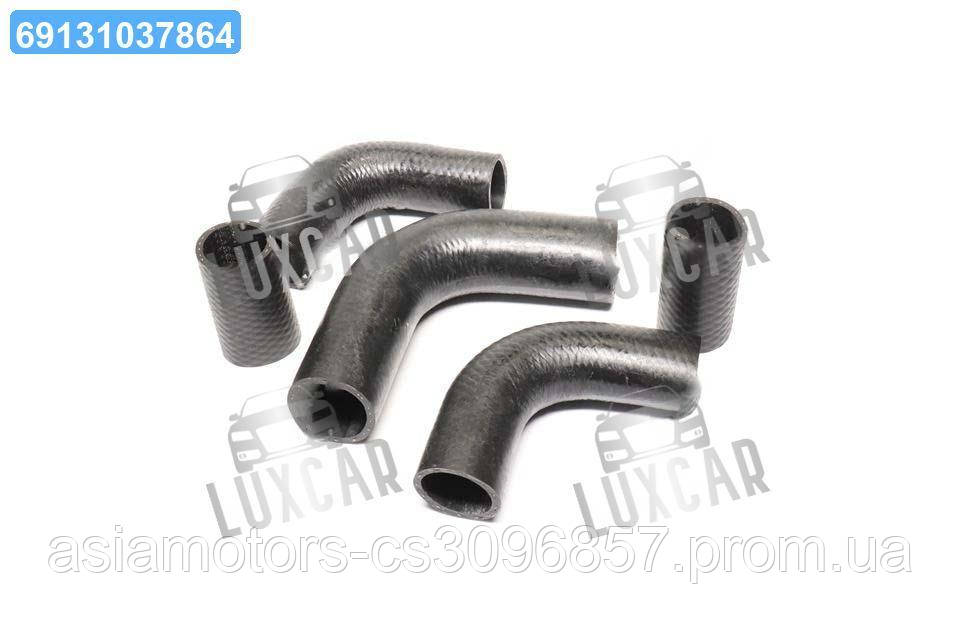 Патрубок радиатора ГАЗ 3110 (дв.406) (компл. 5 шт) СТАНДАРТ DK-1425 UA64 (ID#2097566185), цена ...