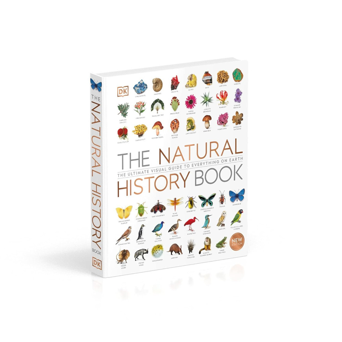 The Natural History Book (ID#2103074576), цена: 1880 ₴, купить на Prom.ua