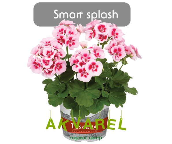 Smart Splash (ID#2550922219), ціна: 55 ₴, купити на Prom.ua