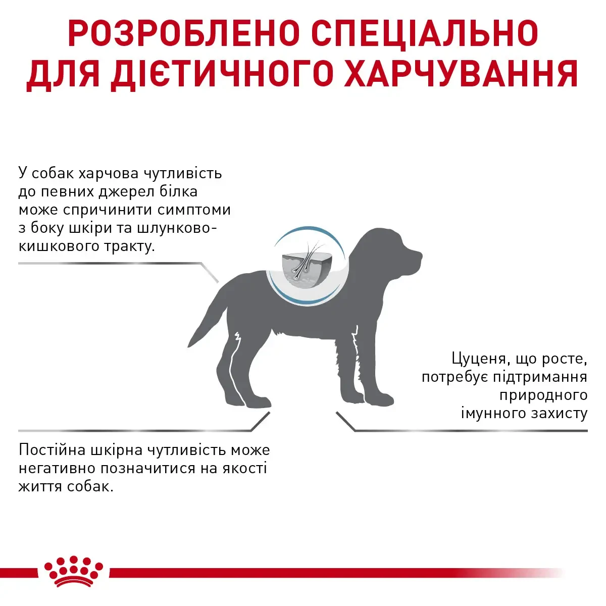 Royal Canin Hypoallergenic Puppy дієтичний корм для цуценят при ...