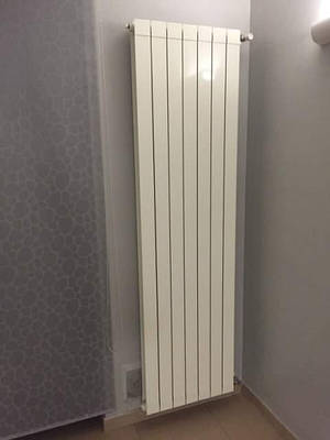Вертикальні радіатори Global Oscar 1000/100 (Італія), ціна: 2235 ...