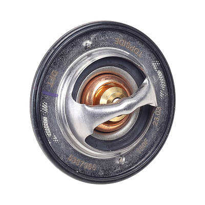 Cummins isf3.8 термостат | Сравнить цены и купить на Prom.ua