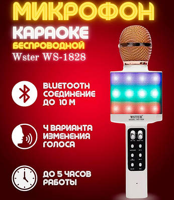 Мікрофон караоке DM Karaoke WS 1688, ціна: 594 ₴, купити на Prom.ua