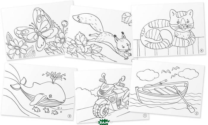 Малюнки розмальовки для дітей `Розфарбування-Гра. Хто більше? ` Чудові ...