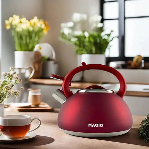 Чайники для плит Magio MG-1193 3 л, Кухонный металический чайник из ...