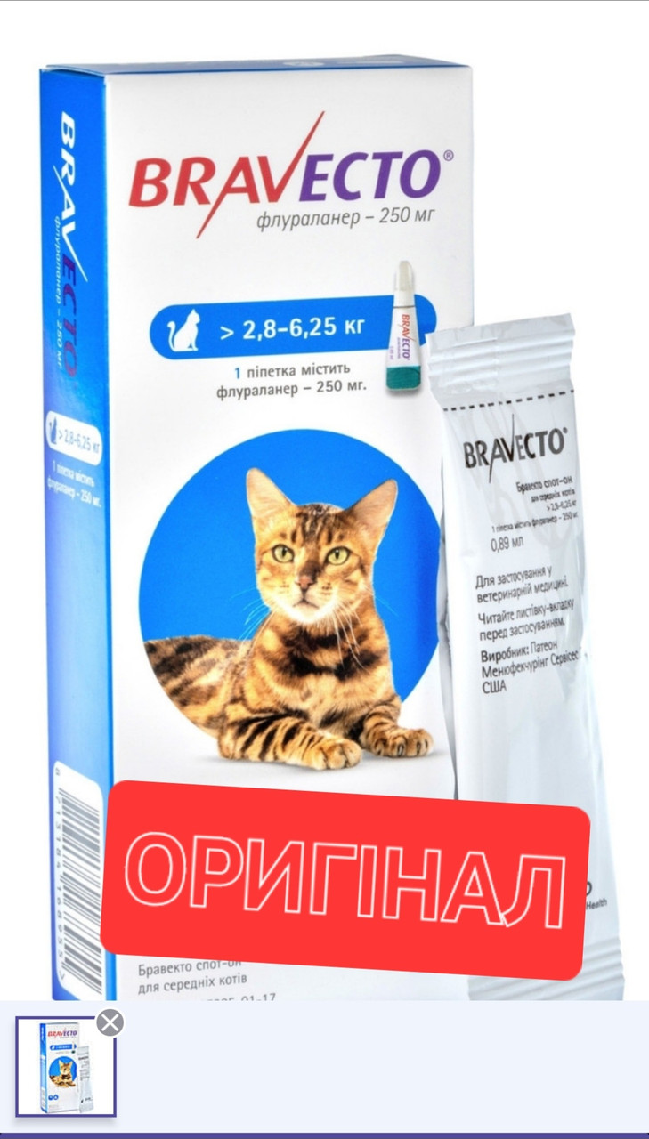 Bravecto бравекто оригіналдо 09.2024 капли для котов 2,8-6,25 кг от ...