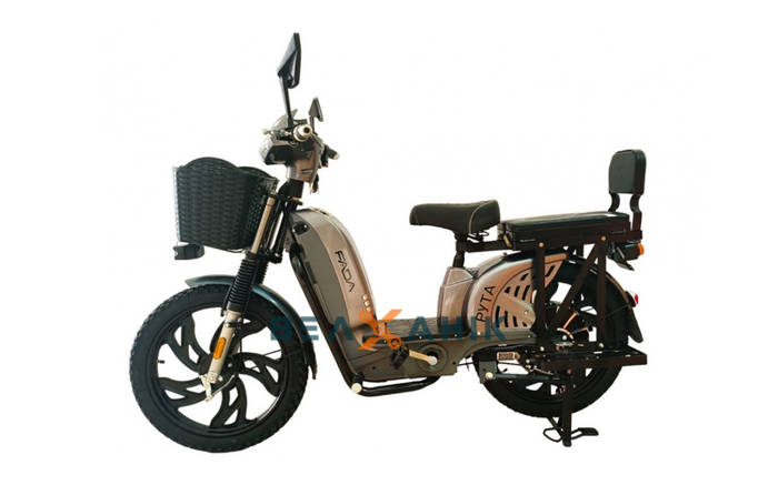 Електровелосипед FADA PYTA FDEB 05VLA-60 Silver, ціна: 33306 ₴, купити ...