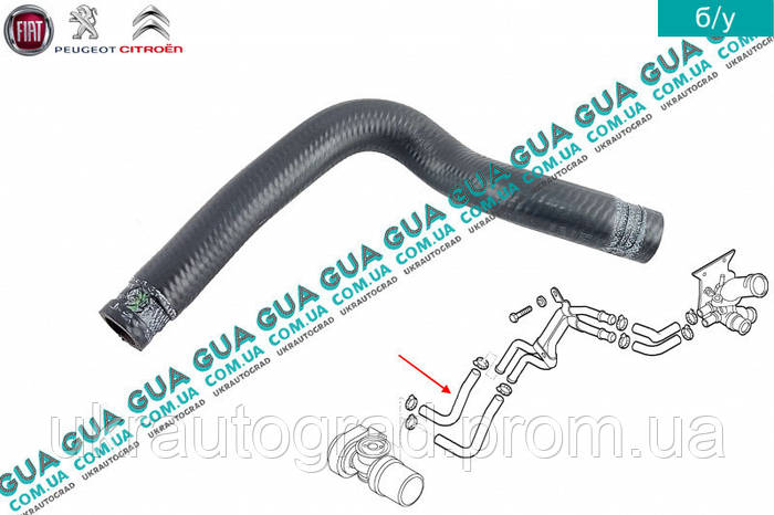 Патрубок/шланг системи охолодження ( теплообмінника) трубка оливного ...