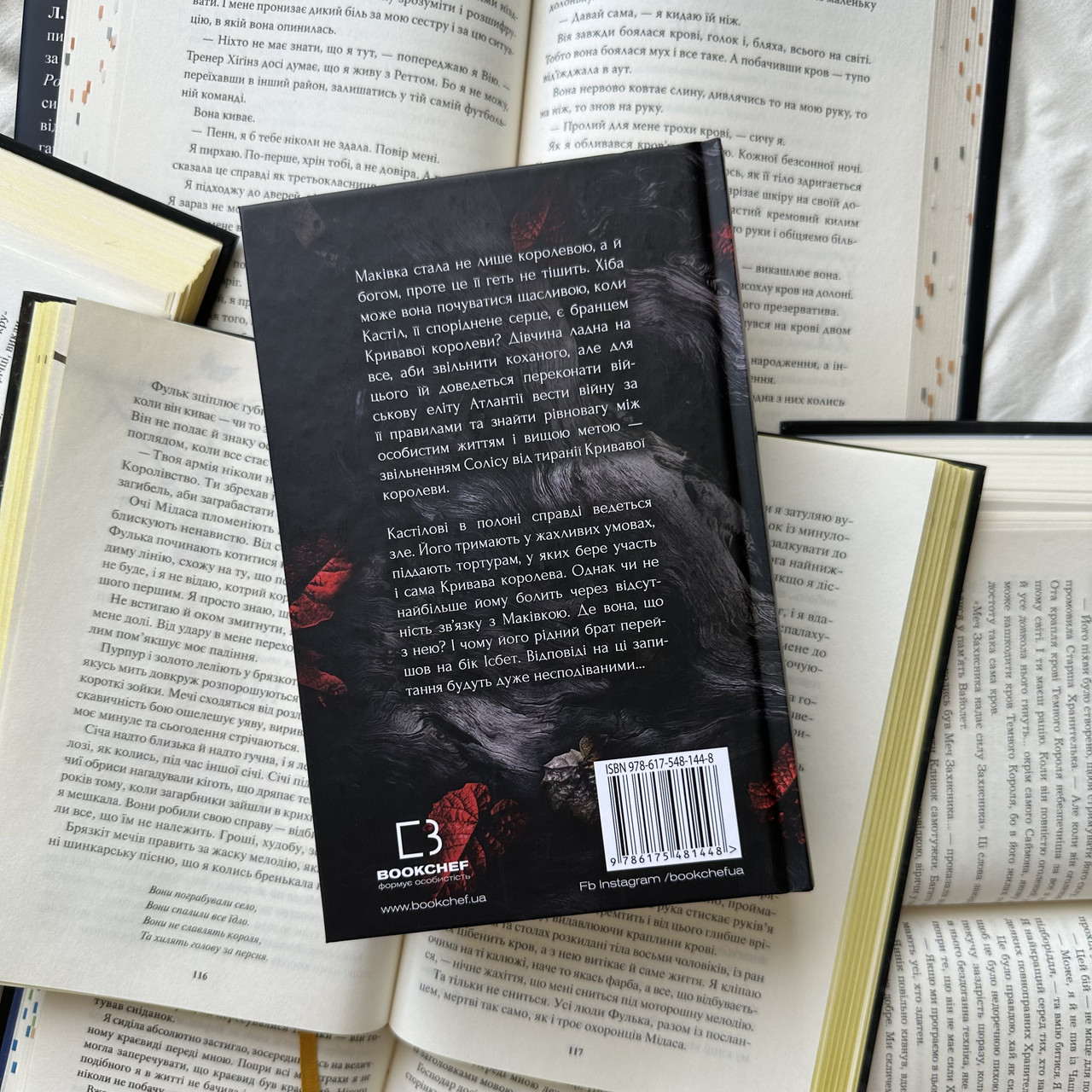 Кровь и пепел: Война двух королев. Книга 4. Дженнифер Л. Арментраут (ID ...