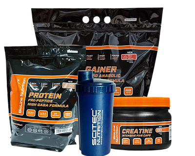 Комплект для роста мышц Bioline Nutrition - купить недорого на Prom.ua ...