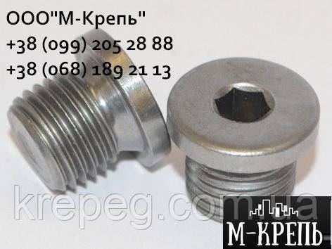 Заглушка нержавеющая М12 DIN 908 с буртом, цена — Prom.ua (ID#413599849)