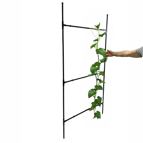 Опора для растений Сектор П - металлическая, 2х1 м, разборная (ID ...