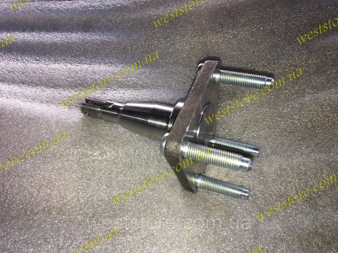 Ступица заднего колеса (ось,шпиндель) Ланос Сенс Lanos Sens DM 96115666 ...