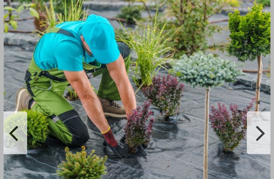 Агроткань черная 100 г/м² , 3.40м х 25м агрополотно GARDEN FLORA Польша ...