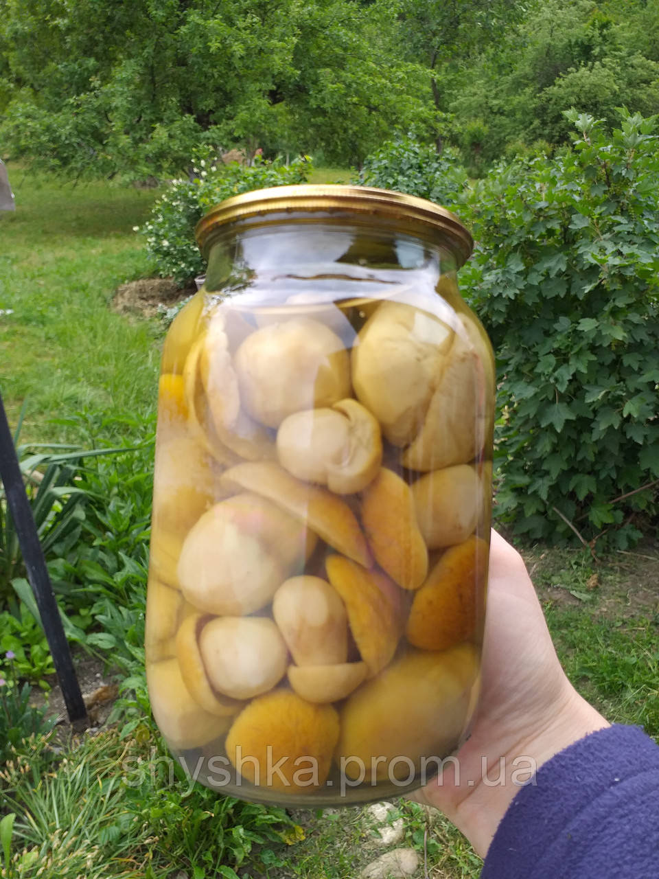 Грибы белые маринованные из Карпат 1л. (ID#2039052669), цена: 399 ...