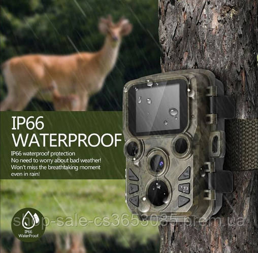 Фотоловушка Suntek Mini 300 (301) 20м, обзор 70°, с датчиком движения ...