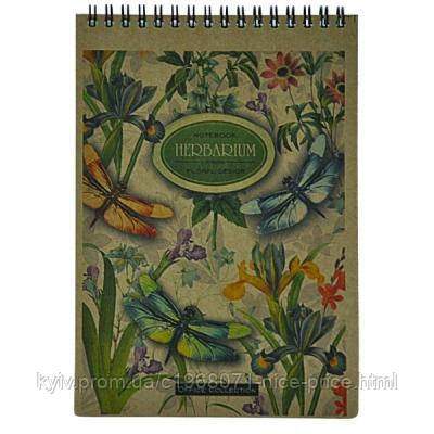 Блокнот Buromax spiral top, А5, 80sheets, KRAFT, white, perforation ...