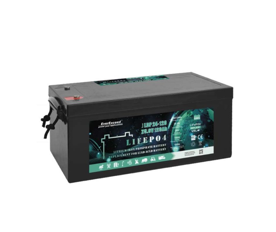 Акумуляторна батарея EVEREXCEED LiFePO4 24V 100Ah: продаж, ціна у ...