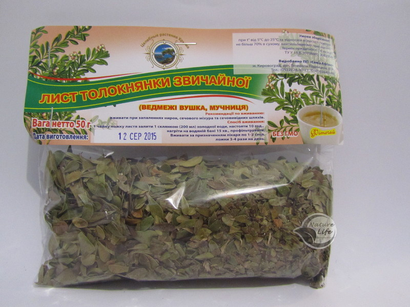 Купить «Лист толокнянки обыкновенной» при гематурии (кровавой моче ...