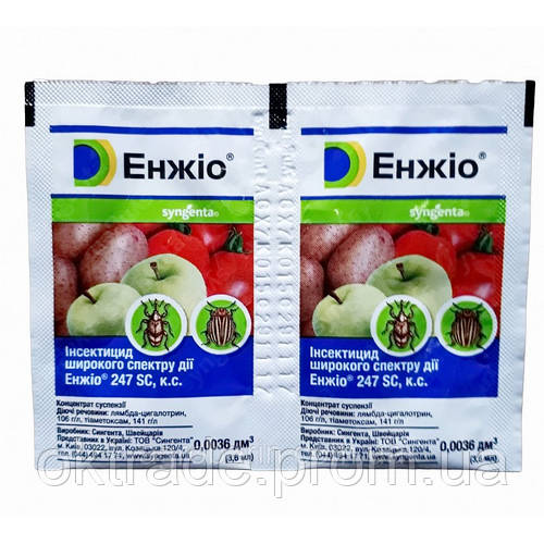 Инсектицид Syngenta Энжио 3,6 мл OD, код: 8260750 (ID#2260478563), цена ...