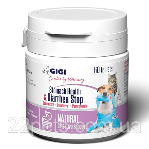 GiGi Stomach Health & Diarrhea Stop N60 (tab) / Стомач Хелс & Діарея ...