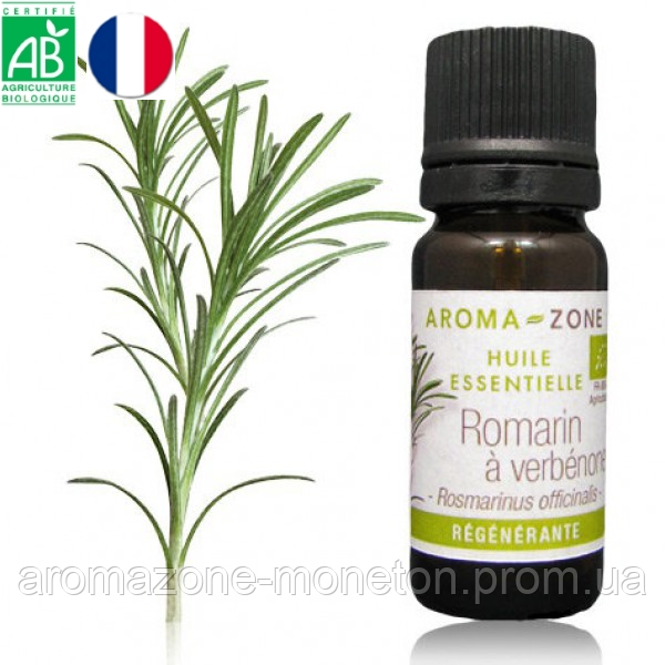 Купить Розмарина вербенового эфирное масло BIO (Romarin verbénone ...