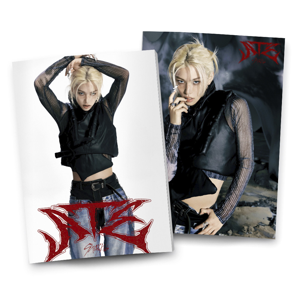 Купить Тетрадь Stray Kids 134 Felix в Украине, Одесса. тетради и ...