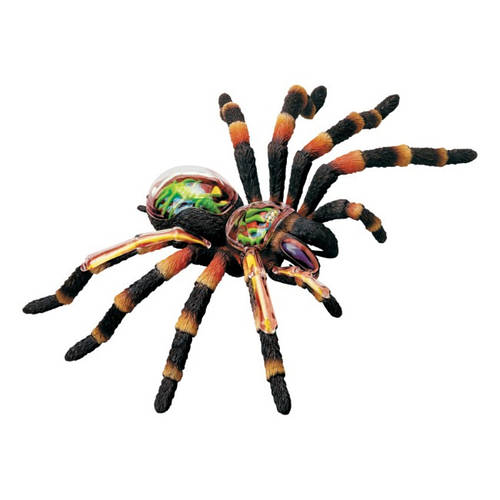 Объемная модель "Паук Тарантул" 4D Master FM-622032, 23 детали, Land of ...