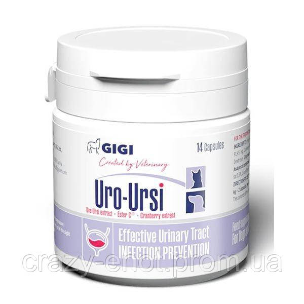 Уро-урсы 14 таб (ID#2373231658), цена: 90 ₴, купить на Prom.ua