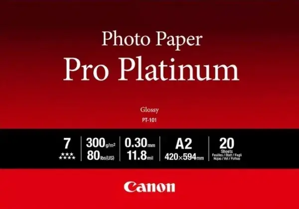 Фотобумага Canon Pro Platinum Photo Paper 2768B067 А2, 20 л (ID ...
